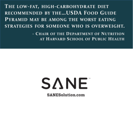 The USDA Food Guide Pyramid | SANESolution