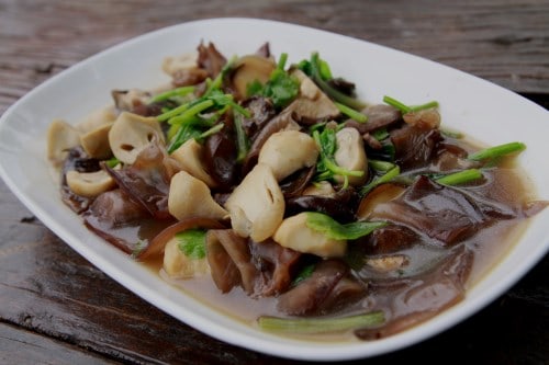 3 Paths To Vitality With Pedram Shojai