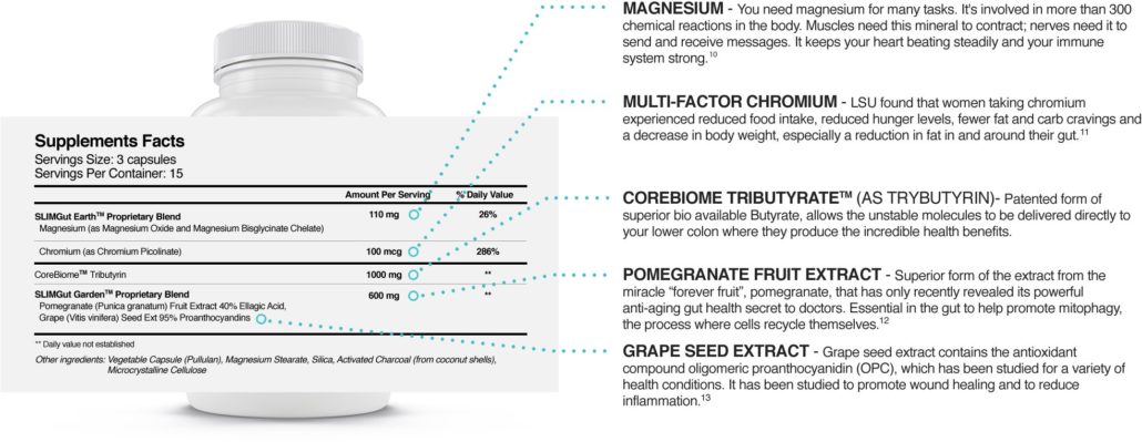 FAQs | SANESolution News